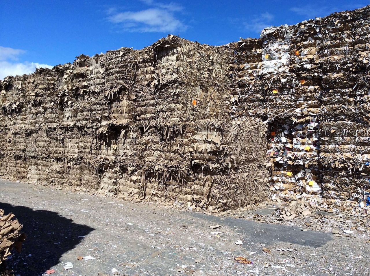 Paper Products | Bergmill